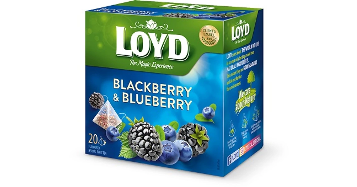 Loyd Piramis tea 20*2G Szeder-Áfonya - Édesség webáruház - sixi.hu
